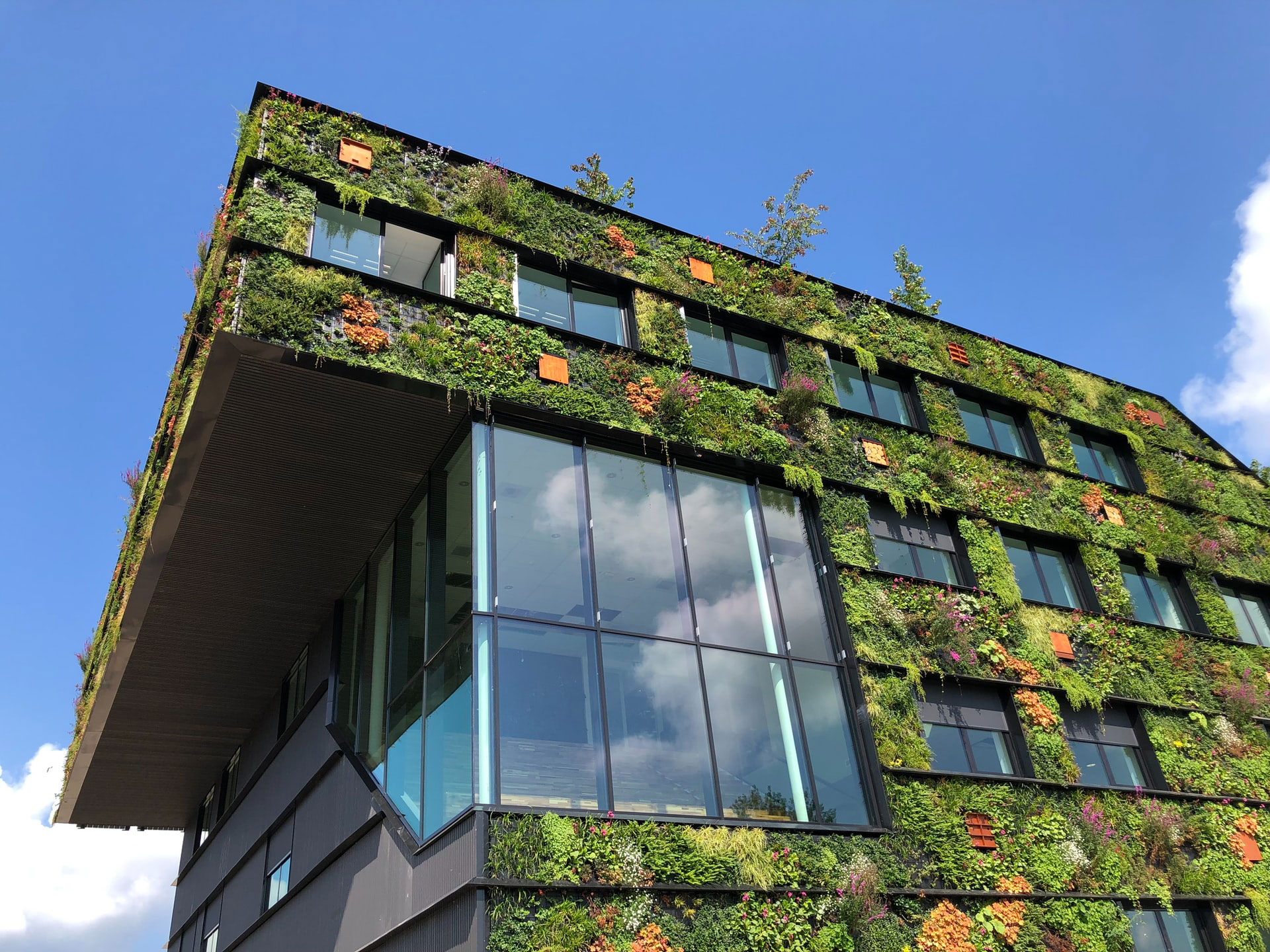 Green Building – 1er groupement dédié à l’habitat écoresponsable au Maroc